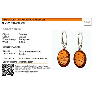 Amber Earrings - French Leverback Honey Oval Baltic Amber Dangling Earrings "Lois" - Sterling Silver Jewelry Collection
