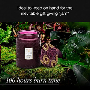 Voluspa Santiago Huckleberry, Large Candle Jar, 18 oz, 100 Hour Burn Time, All Natural Wicks and Coconut Wax for Clean Burning, Vegan, Poured in the USA