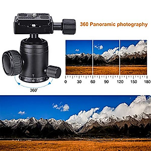 Professional Heavy Duty (20 lbs Load) True DSLR Mirorrless Camera Suction Cup Car Mount Camcorder Vehicle Holder w/Quick Release Plate 360° Ball Head Compatible with Nikon Canon Sony RED BM Hi-Speed