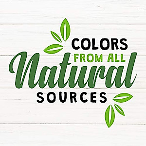 Sunseed Vita Prima Wholesome Nutrition Parrot Food, 4 LBS