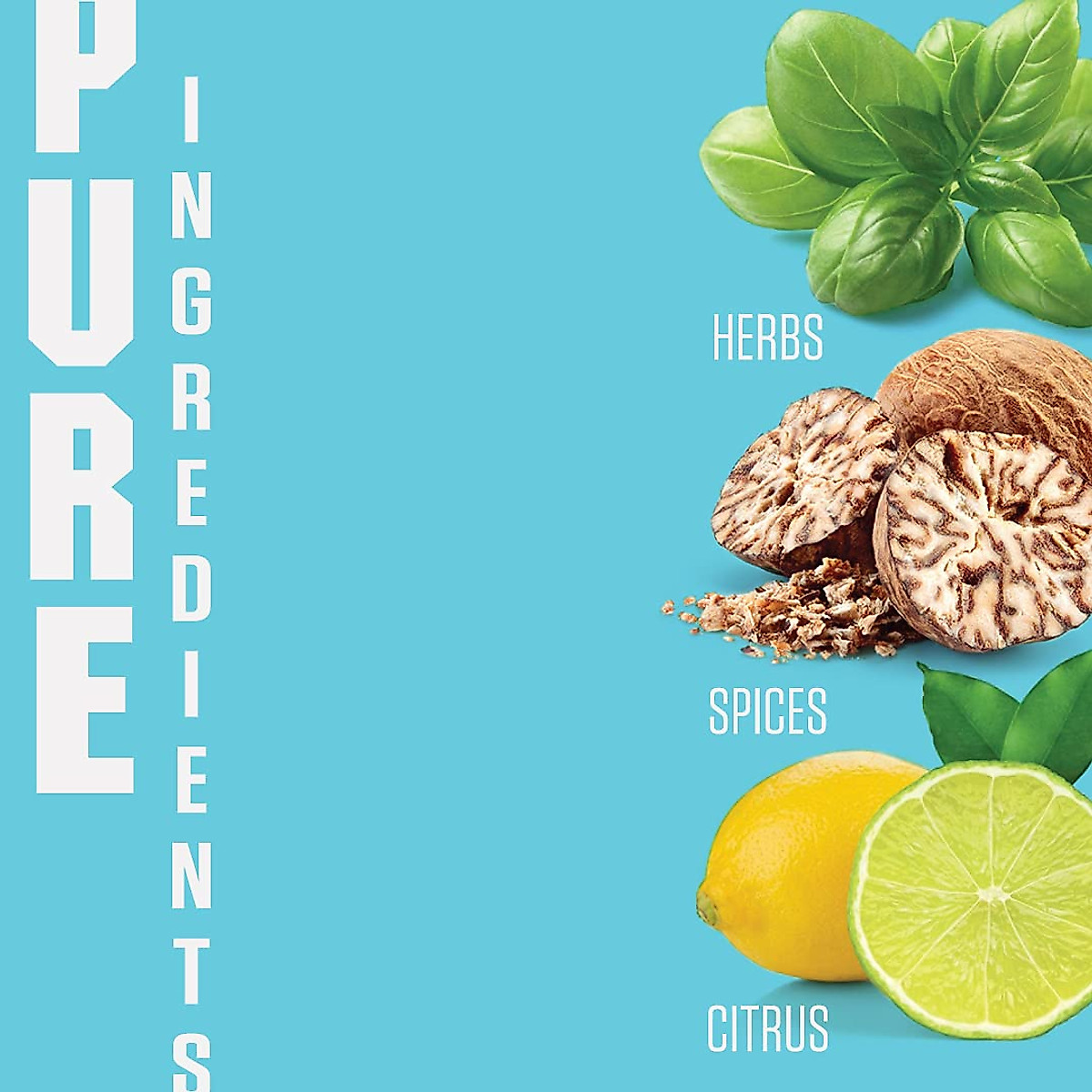 Nitro Musk 12 of the Most Popular Mens Colognes, Mens Oil Cologne Samples, Pure Natural Ingredients, Premium Oil Cologne, Perfect for Pocket Carry, Ingeniously Crafted by Musk & Hustle