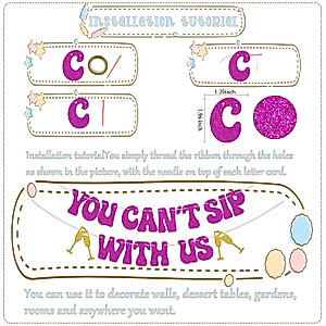 You Can't Sip With Us Banner, Mean Girl Party Decorations, Girls Night Decorations, Mean Girl Birthday Bachelorette Wedding Bridal Shower Party Decor Supplies Rose Red