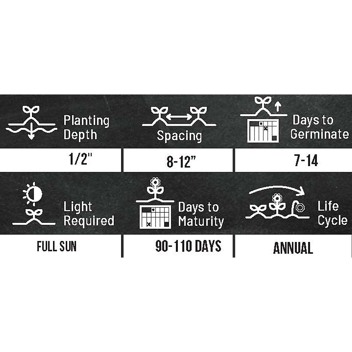 Sunflower Seeds for Planting - Grow Red Velvet Queen Sun Flowers in Your Garden - 25 Non GMO Heirloom Seeds - Full Planting Instructions for Easy to Grow - Great Gardening Gifts (1 Packet)