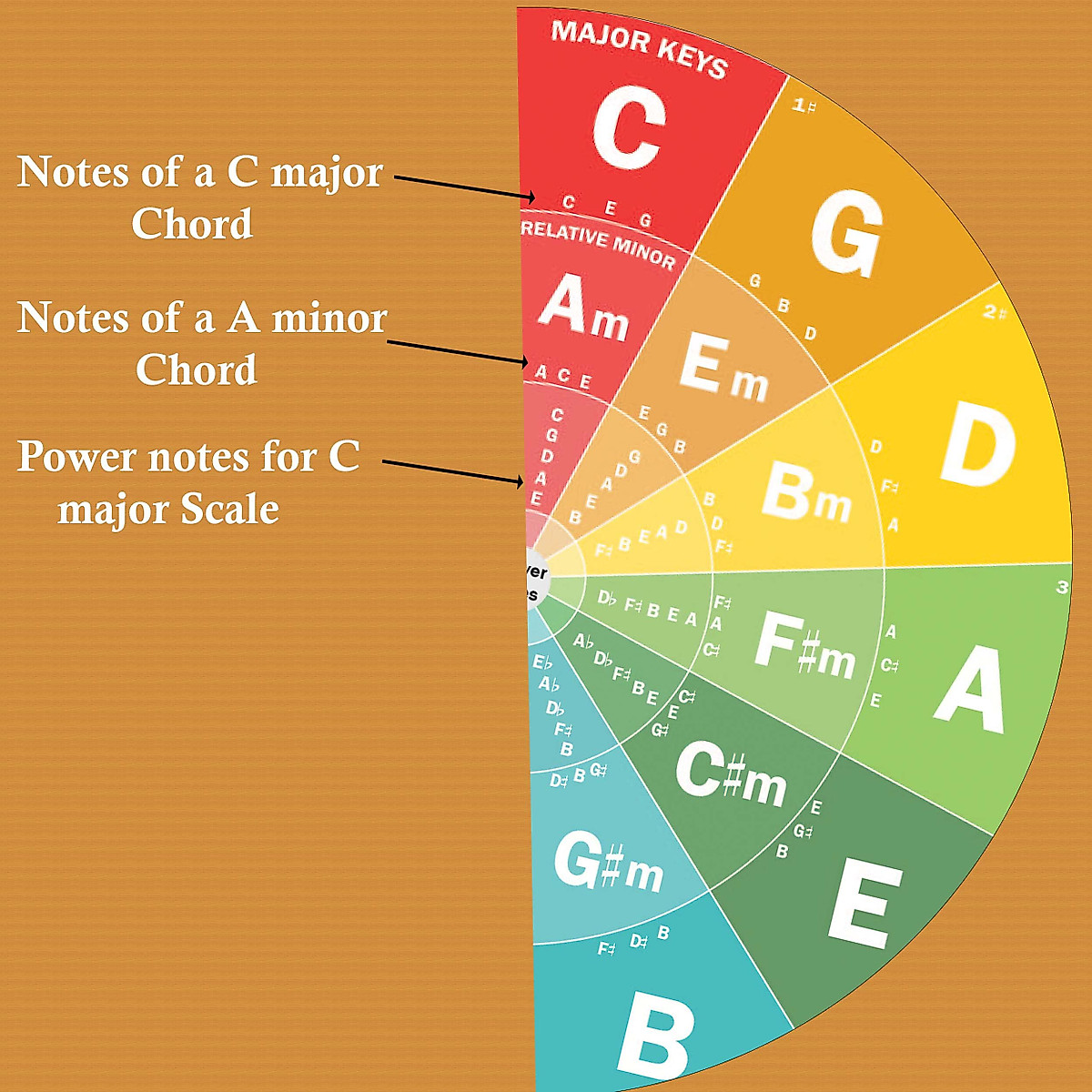QMG The Circle of Fifths Poster for Guitar and Piano, Reference Guide for Beginner to Learn Harmony and Music Theory, Guitar Chord Posters, Polypropylene Paper Guitar Wall Chart (Size: 24”x30”)
