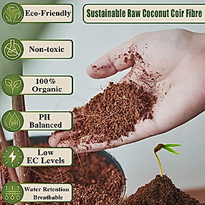 Legigo 2 Pack Premium Coco Coir Brick for Plants- 100% Organic Compressed Coconut Coir Bricks Starting Mix, Coco Coir Fiber Coconut Husk for Planting, Gardening, Potting Soil Substrate, Herbs