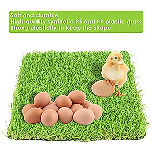 PetierWeit Chicken Nesting Pads 6Pack Nesting Box Pads 12”x12” Artificial Grass Washable Chicken Coop Bedding Laying Rug Fake Turf Mats Grass Carpet Garden Lawn for Chicken Hen Small Pets