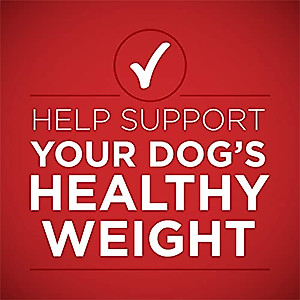 Purina ONE Plus Tender Cuts in Gravy Healthy Weight Lamb and Brown Rice Entree in Wet Dog Food Gravy - (12) 13 Oz. Cans