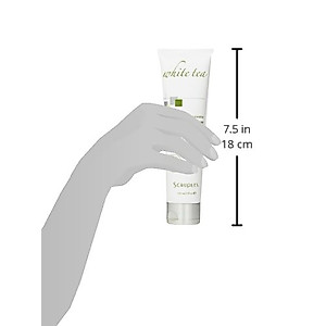Scruples White Tea Restorative Cond, 5 Ounce