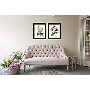 Botanical Pink White Roses Prints - Unframed - Beautiful Antique Illustration Wall Art Set of 2 Prints French Flowers Home Room Decor Small or Large Dining Room Bedroom Living Interior Design LRR