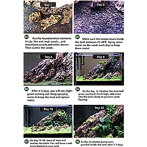 3 Pack Live Aquarium Plant Seeeds, Fresh Water Fish Tank Carpet Grass Plants Mini Leaf & Long Hair Grass for Terrarium Aquatic 21c