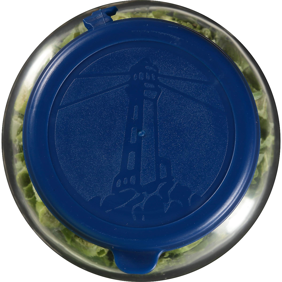 Litehouse Freeze Dried Spring Onion - Fresh Spring Onion, 1 Bunch Inside, Fresh Taste, Gluten Free, Keto Friendly, No Refrigeration - 0.23 Ounce, 2-Pack