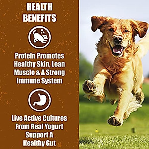 Whole Life Pet Human Grade Probiotic Dog Treats – Peanut Butter & Yogurt – Easy Digestion, Sensitive Stomachs - Made in The USA