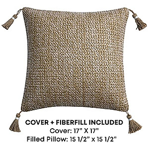 Honeycomb Indoor/Outdoor Raffia Natural Square Toss Pillow with Tassels, Woven Faux Jute Fabric, Recycled Polyester Fill, Weather Resistant, 2 Pack of Decorative Toss Pillows: 17” x 17”