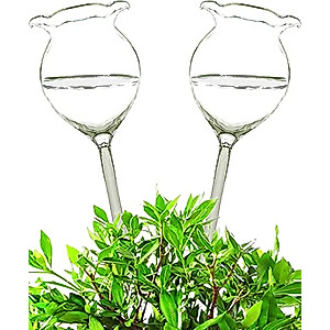 Adabocute Plant Waterer Self Watering Globes Self Watering Spikes, Hand Blown Clear Glass Plant Water Bulbs Devices for Indoor & Outdoor, Fill from Top, 2 Flower Shape