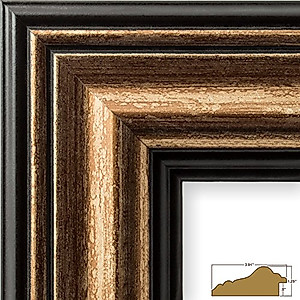 Craig Frames 21307201 16 x 20 Inch Aged Copper and Black Picture Frame Matted to Display a 11 x 14 Inch Photo