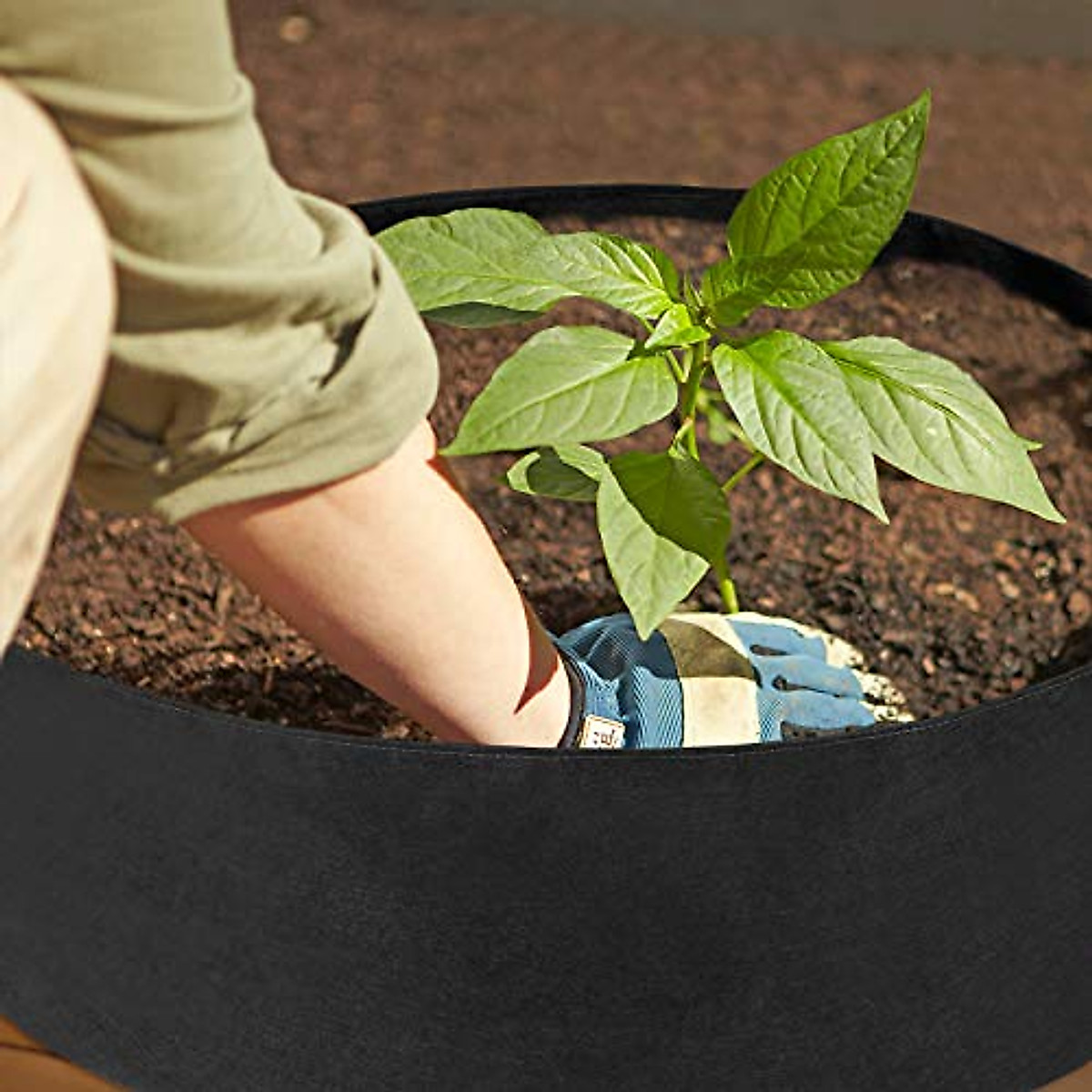 Pannow 50 Gallon Plant Grow Bags, Round Raised Garden Planting Beds Pots, Heavy Duty Fabric Grow Pot, Durable Breathe Cloth Planting Container for Potatoes Vegetables and Fruits, Gardening & Outdoor