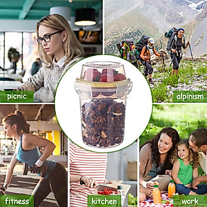 4 Packs 17 Oz Overnight Oats Containers with Lids and Spoons Large Capacity Leakproof Overnight Oats Jars Oatmeal Container Plastic Yogurt Jars Breakfast On the Go Cups for Fruit Vegetable Meal Prep