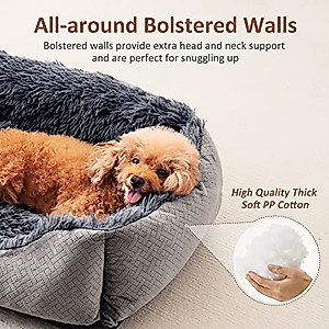 INVENHO Small Dog Bed for Small Medium Large Dogs, Rectangle Washable Dog Bed, Orthopedic Dog Sofa Bed, Durable Plush Pet Bed, Soft Calming Sleeping Puppy Bed with Anti-Slip Bottom S(20"x19"x6")