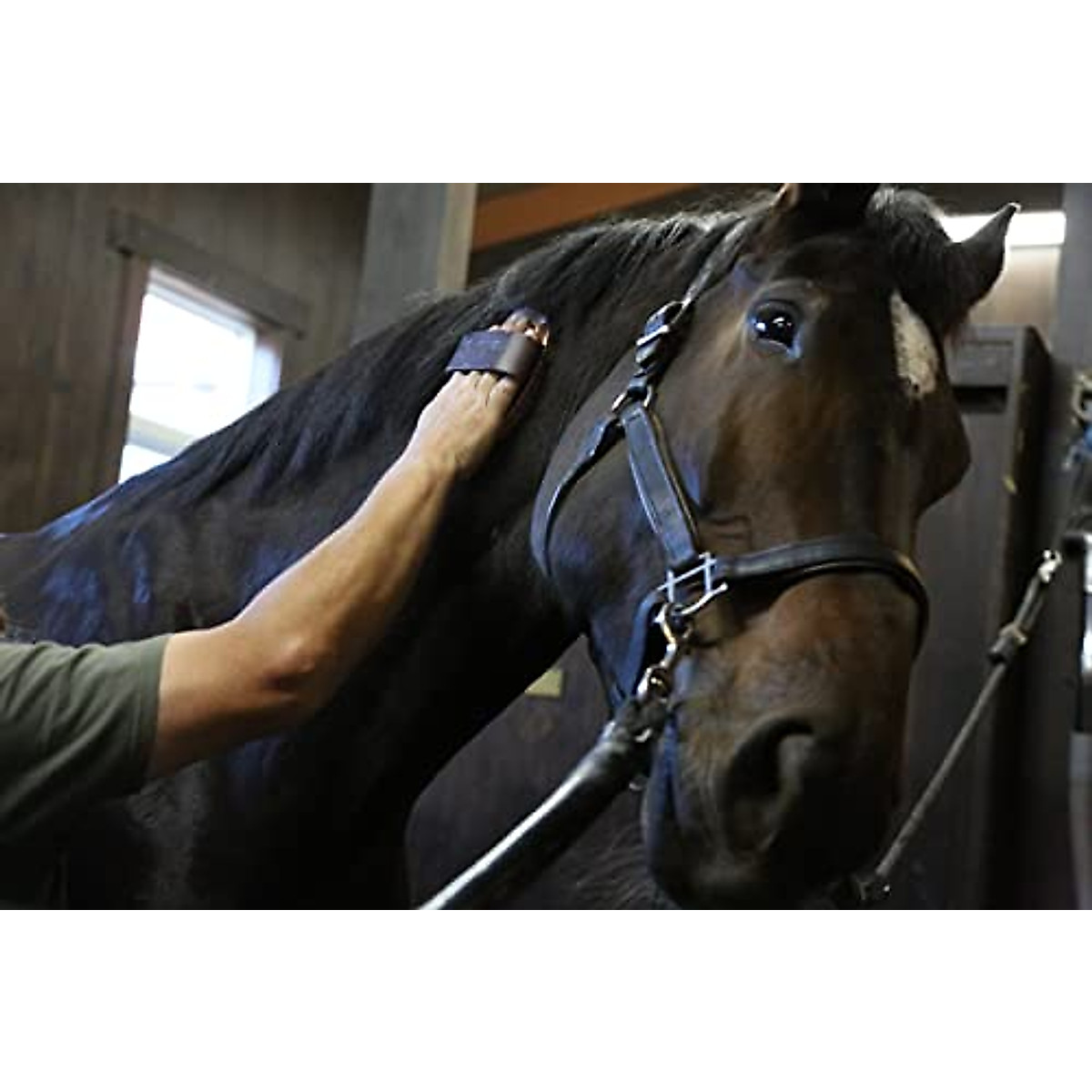 Kawell USA Natural Horse Shampoo for Skin and Coat Care - suitable for Minor Injuries, Cuts, Ulcers, Skin Allergies and Irritations, infused with Matico Healing Properties, 32 oz.