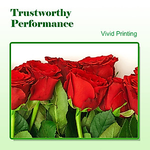 4-Pack Compatible HP 305A Black,Cyan, Magenta, Yellow Toner Cartridges Works with HP Pro 400 Color M451dw M451nw M451dn MFP M475dw M475dn Pro 300 M375nw Printers