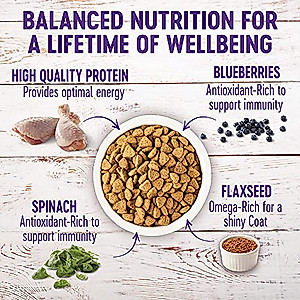 Wellness Complete Health Large Breed Adult Dry Dog Food, No Corn or Wheat, Made in USA with Real Meat, Natural Ingredients, Glucosamine, Probiotics & Omega Fatty Acids (30-Pound Bag)