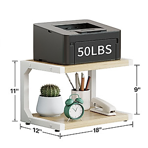 Mt.Jun Heavy-Duty Desktop Printer Stand - 2-Tier Organizer, 18" W x 12" D x 11" H, White Iron Tube Frame and Golden Oak Colored Panel, Supports 50 lbs