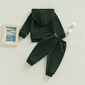 Ledy Champswiin Baby Boy Girl Sweatsuits Sportswear Toddler Kids Solid Color Outfit Hoodie Sweatshirt Tops & Pants Clothes (A1 Olive Green, 12-18 Months)