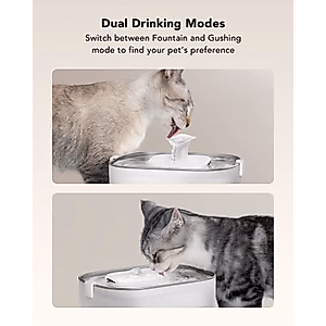 PETLIBRO Cat Water Fountain Stainless Steel with Wireless Pump, 2.5L/84oz Dockstream Automatic Pet Water Fountain for Cats Inside, Easy to Clean, BPA-Free Dog Water Dispenser with Two Flow Modes,White