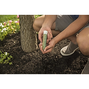 Miracle-Gro Fertilizer Spikes for Trees and Shrubs, 12 Pack (Not Sold in Pinellas County, FL)