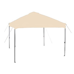 Garden Winds Replacement Canopy Top Cover Compatible with The Coleman Straight Leg 10 x 10 - Riplock 350