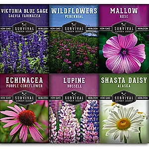 Survival Garden Seeds Perennial Flowers Collection - Shasta Daisy, Echinacea, Russell Lupine, Rose Mallow, Blue Sage, and Perennial Wildflower Mix - Non-GMO Heirloom Seeds for Planting and Growing