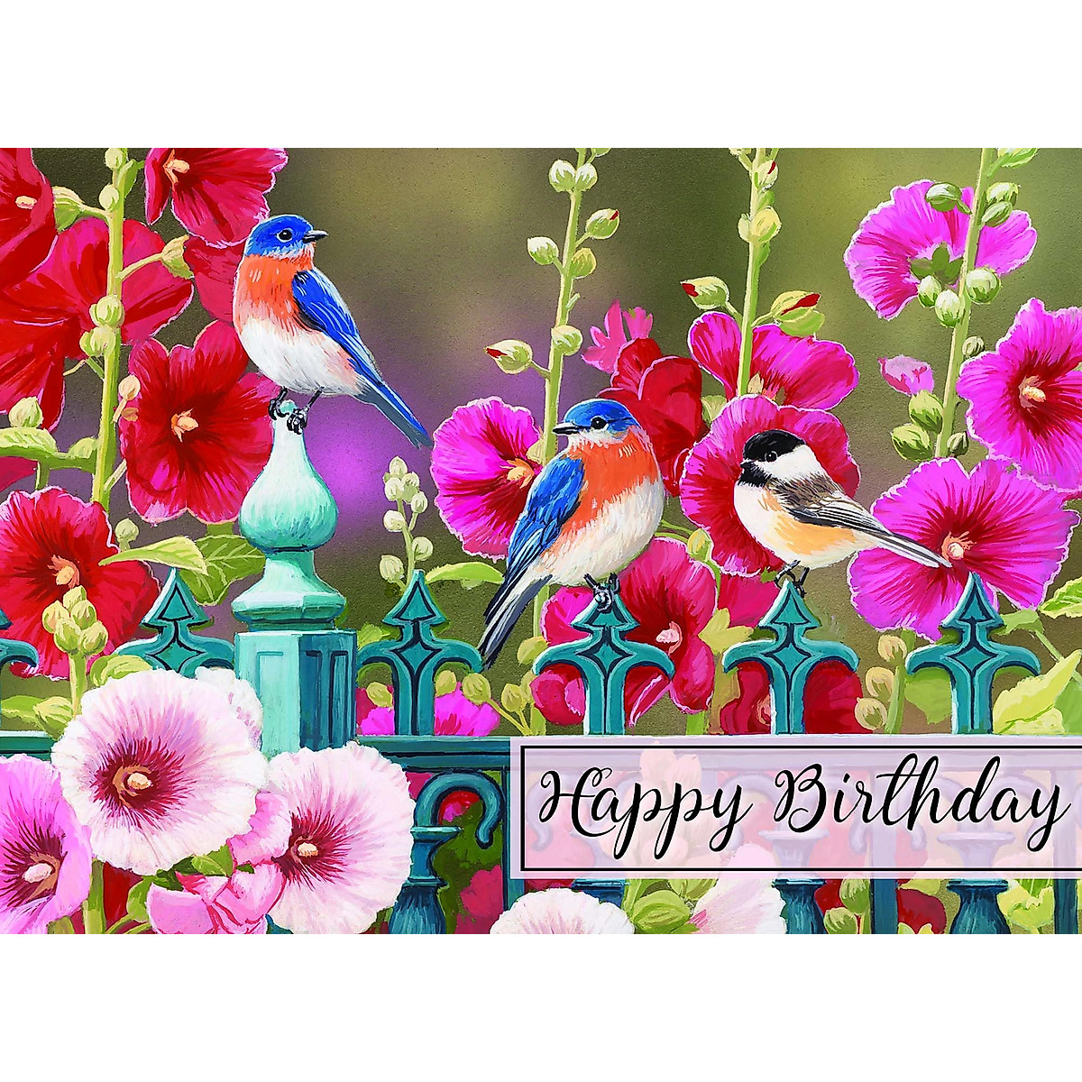 Crown Point Graphics Shared Blessings Birthday Birds 12 Boxed Birthday Cards, Beautiful Birds with KJV Scripture, Art by William Vanderdasson