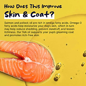 Wild Alaskan Salmon Oil for Dogs with Pollock Oil - 64 oz of Pollock and Salmon Oil, Omega 3 Fish Oil, EPA, and DHA - Dogs Skin and Coat Supplement - Made in USA