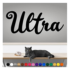 Transform Your Walls with Professional Grade, Outdoor Weatherproof Vinyl Stickers - Happy Sunday - UV Resistant, Made in The USA! Inspirational Words: Ultra: 14 Inch, Satin Silver