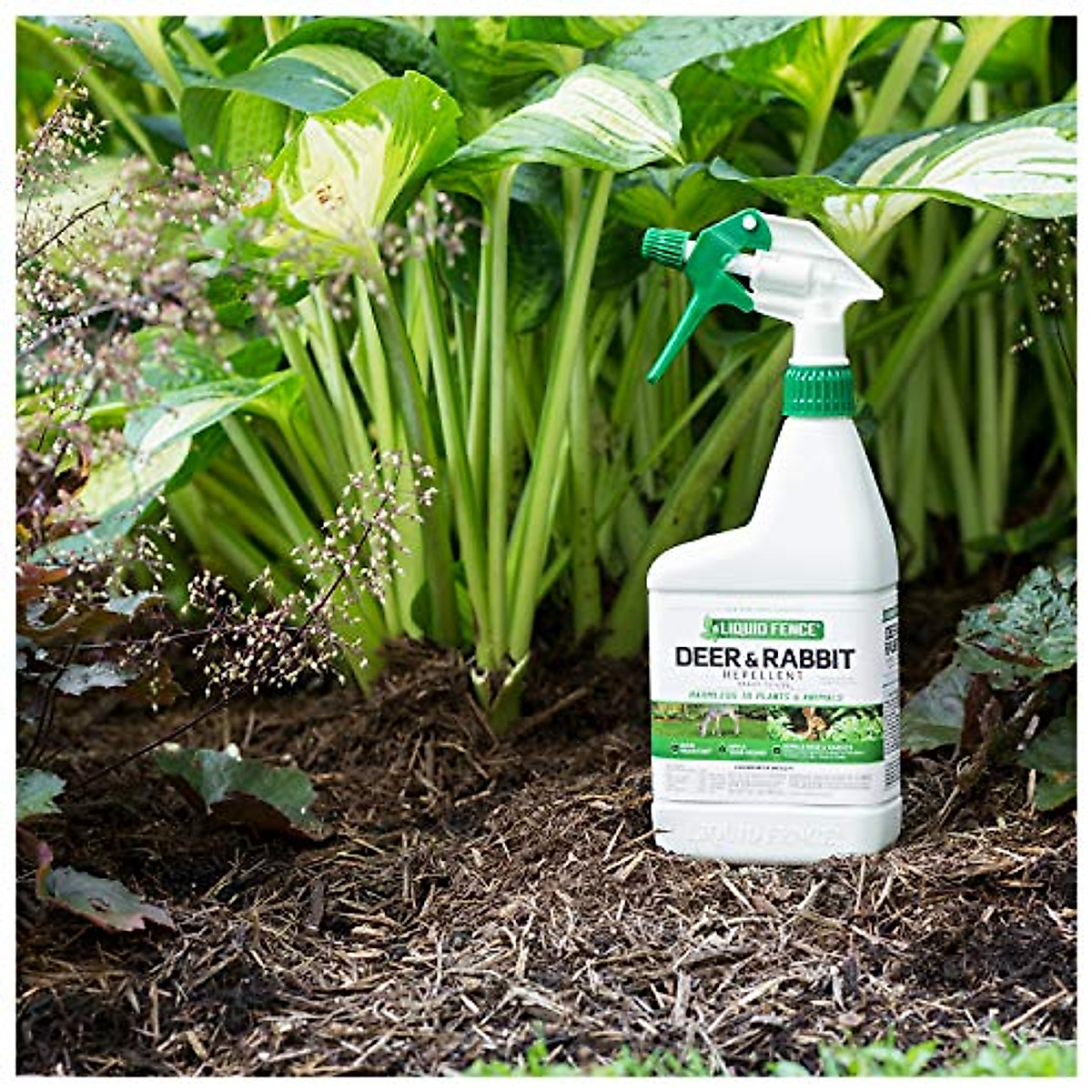 Liquid Fence Deer & Rabbit Repellent Ready-to-Use, 32-Ounce, 4-Pack (81126-1)