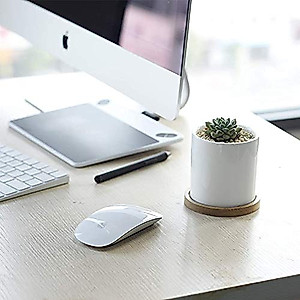 EFISPSS Succulent Plant Pots, 3.2 inch Ceramic Flower Pot with Bamboo Tray, Small Cactus Planter Pots with Drainage Holes, 8 Pack (Plants NOT Included) (White)