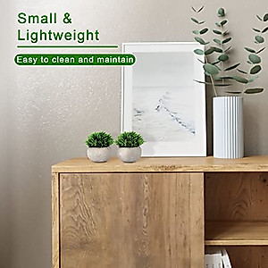 THE BLOOM TIMES 2 Pcs Fake Plants for Bathroom/Home Office Decor, Small Artificial Faux Greenery for House Decorations (Potted Plants)