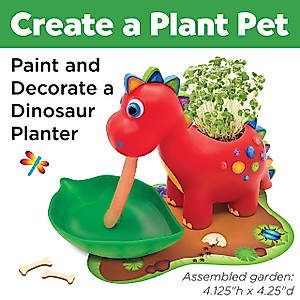 Creativity for Kids Dinosaur Self Watering Plant Pet, Kids Plant Growing Kit, Dinosaur Crafts for Boys and Girls Ages 6-8+, Medium
