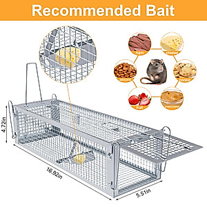 Humane Rat Trap, Large 2-Door Mouse Traps That Work for Indoor Home and Outdoor, Small Rodent Chipmunk Squirrel Trap and Other Live Animal Cage Catch and Release