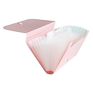 Expanding File Folder, Subdivision Accordion File Folder Mini Organizer PP Wallet for Cards,Coupons,Receipt,Tax Item or Changes,7x4.5 Inches,12 Pockets with Tabs and Check Case(Pink)