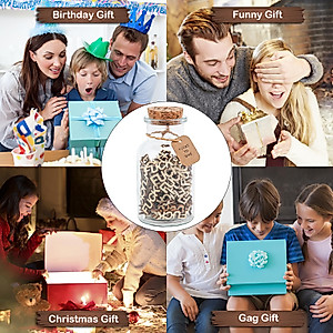 Fucks in a Jar(7oz),Fucks to Give Funny Gift Gag Gift Birthday Gift Christmas Gift；Fuck Bad Mood Vent Spoof Gifts for Friend,Anniversaries Valentines Day. (FUCK in a Jar)