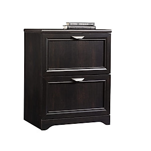 Realspace® Magellan 23-1/2"W x 16-9/16"D Lateral 2-Drawer File Cabinet, Espresso