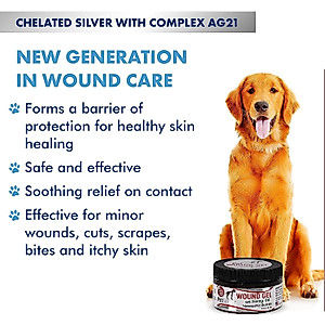 PetSilver Wound Gel with Complex AG21 & Hemp Oil | Chelated Silver 200 ppm | Dog & Cats | Wounds | Hot Spots | Itches | Skin Irritations | Burns | Rashes | Sores | Homeopathic Relief | 4oz