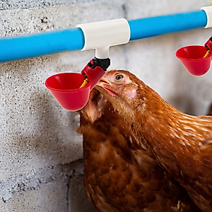 Pack of 20 Chicken Waterer PVC Tee Fittings- Fully Automatic for Threaded Poultry Nipples Chicken Water Drinker and Feeder Cups, White