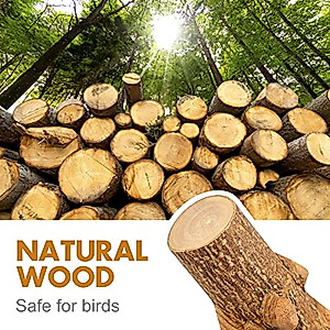 Ipetboom Bird Wooden Perches Platform, 7 Pcs Natural Wood Bird Perch Parrot Cage Perch Wooden Parrot Stand Parrot Stand Branch