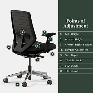 Branch Ergonomic Chair - A Versatile Desk Chair with Adjustable Lumbar Support, Breathable Mesh Backrest, and Smooth Wheels - Experience Optimal Comfort and Support - All Black