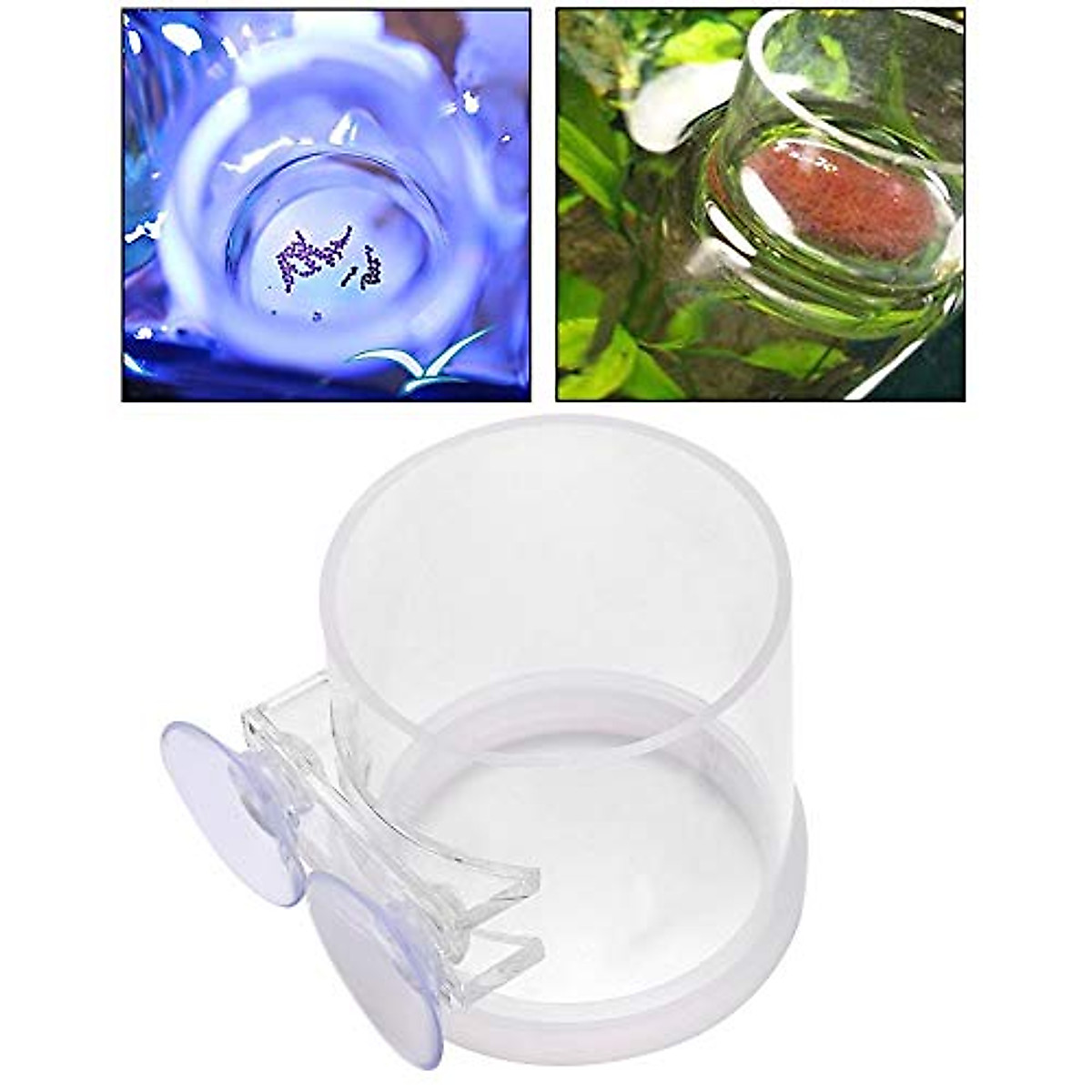 Fish Tank Suction Cup Feeder Acrylic Transparent Fish Ring Food Feeder Clear Fish Feeding Ring with Anti-Collision Strip for Aquarium Fish Tank