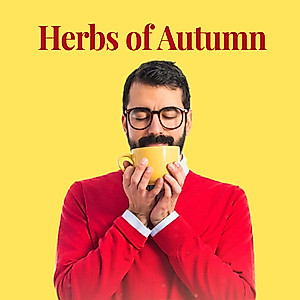 The Republic of Tea - Hot Apple Cider Tea, 36 Tea Bags, Tin | Harvest Herbal Blend | Caffeine-free