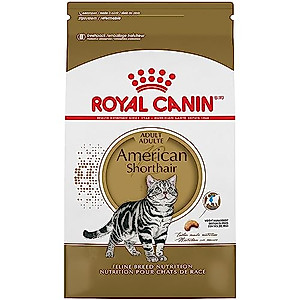Royal Canin American Shorthair Breed Adult Dry Cat Food, 5.5 lb bag