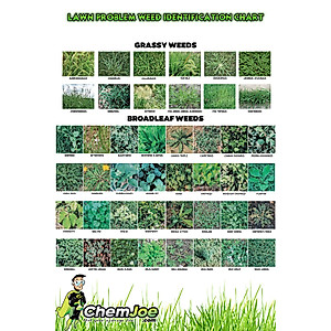 Triple Threat Selective Weed Killer Herbicide for Lawns and Turf - 1 Gallon Jug (Makes 64 Gallons)